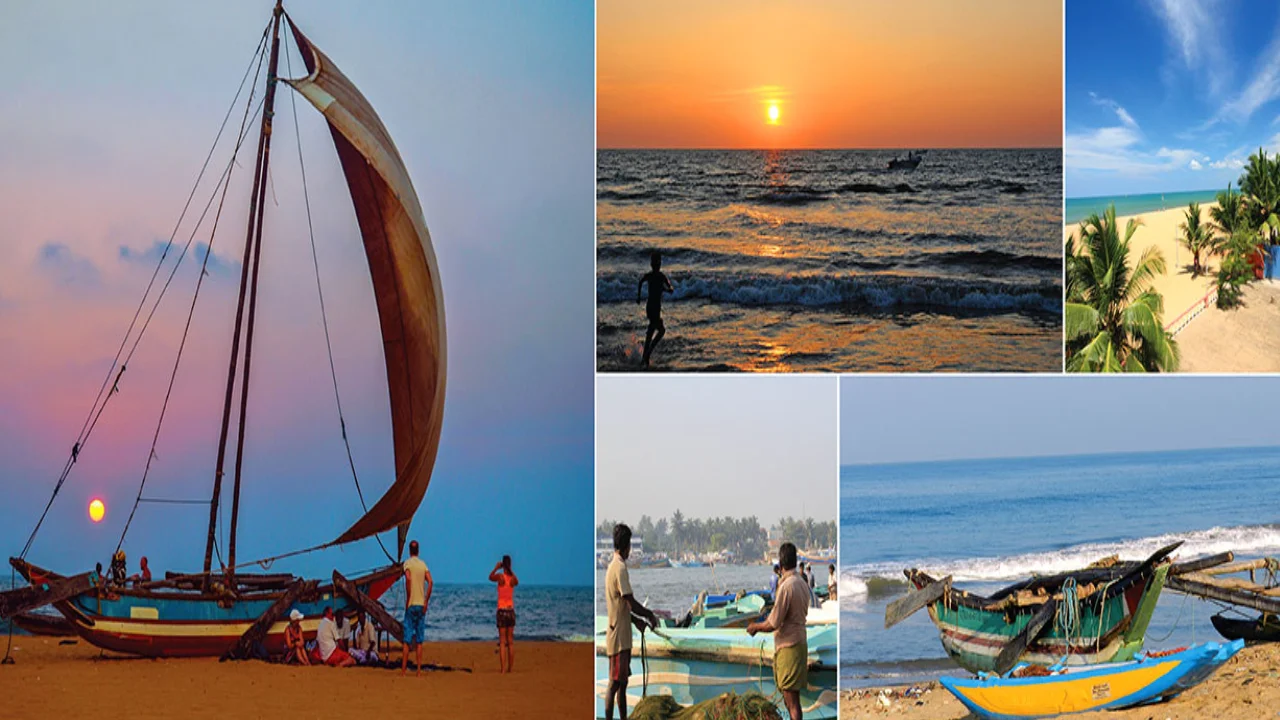 See Ceylon Travel Agency Sri Lanka|tour operators Sri Lanka & Travel ...