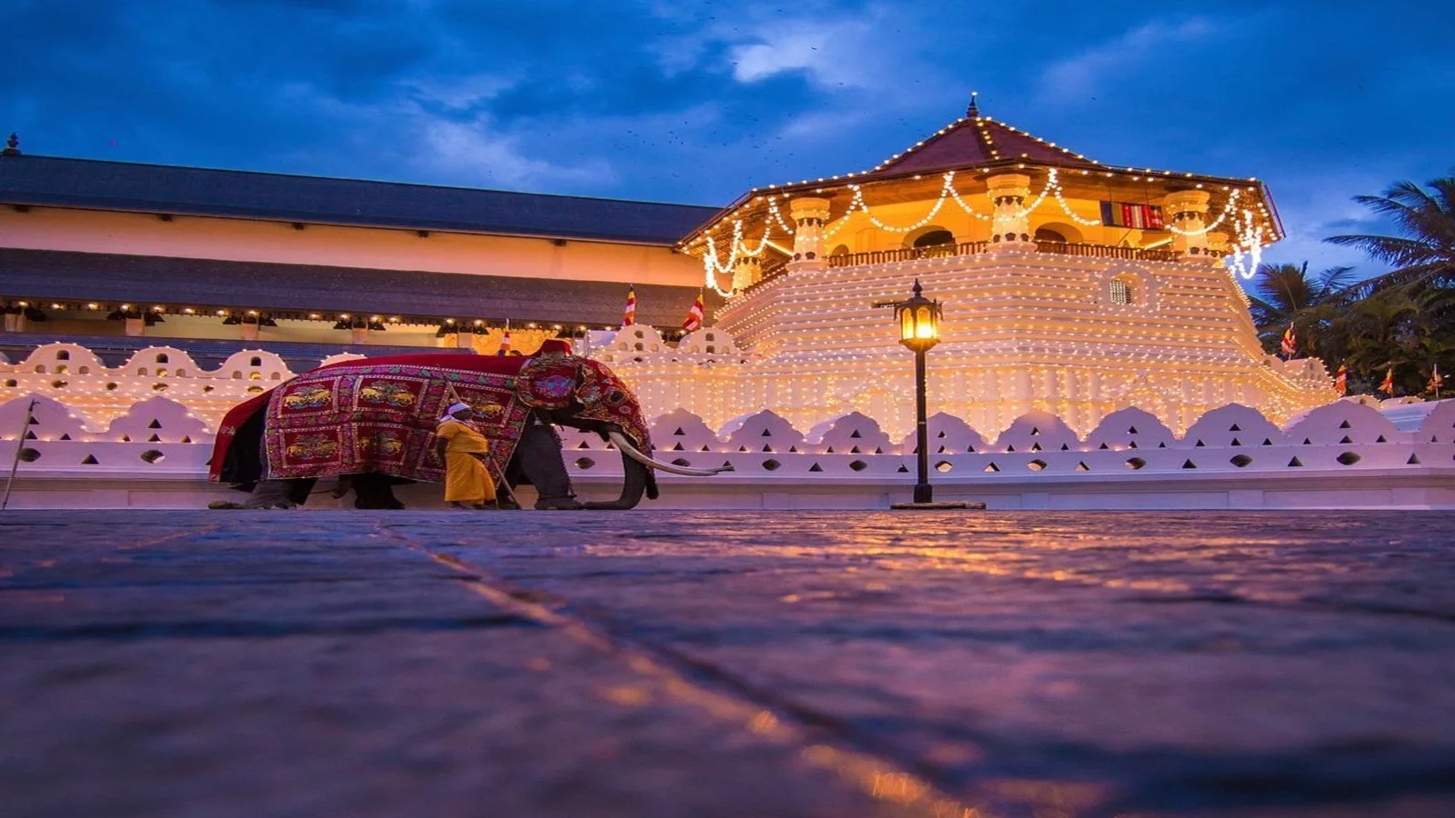 See Ceylon Travel Agency Sri Lanka|tour operators Sri Lanka & Travel ...